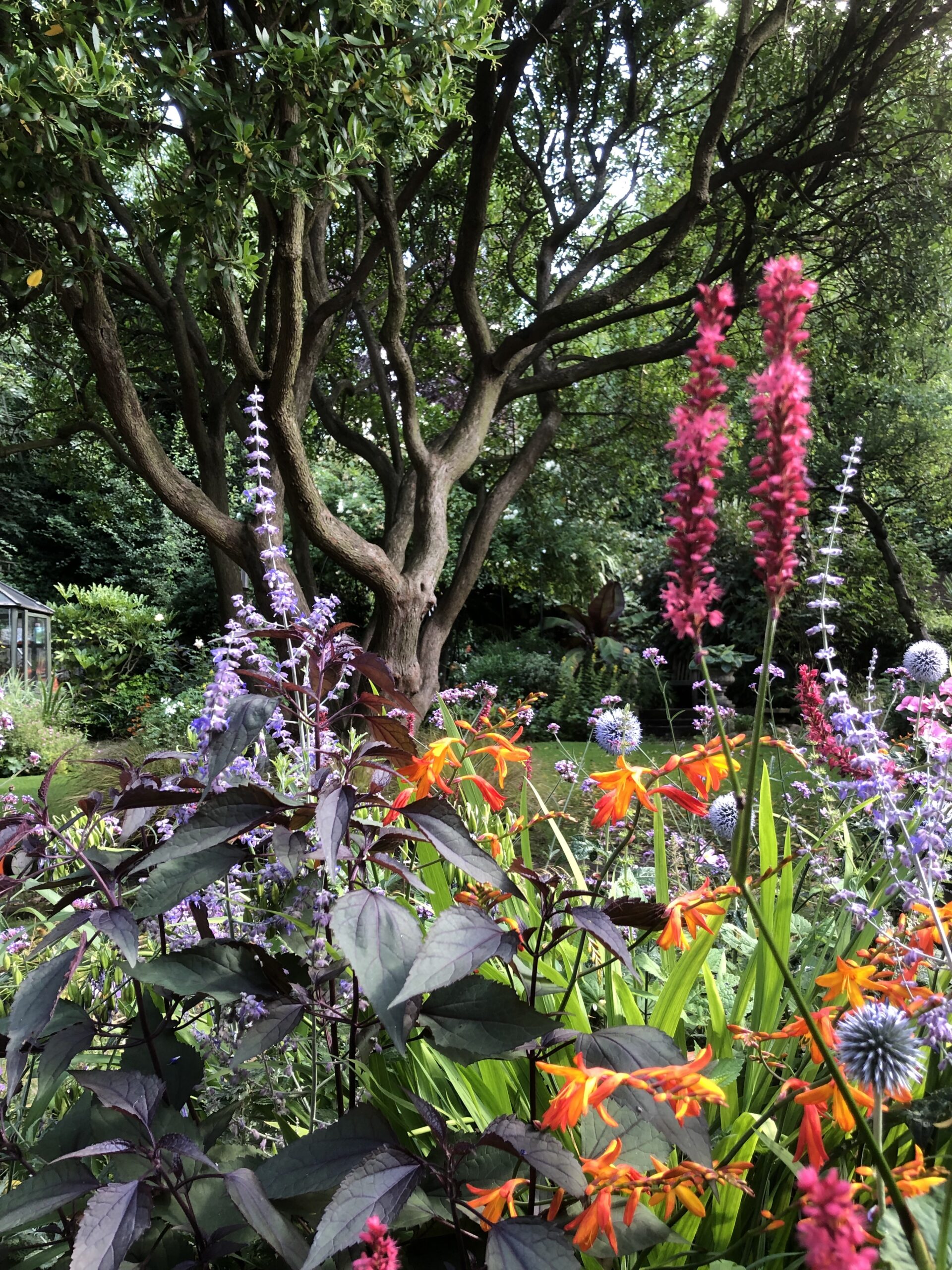 About Us – The Palace Gardener
